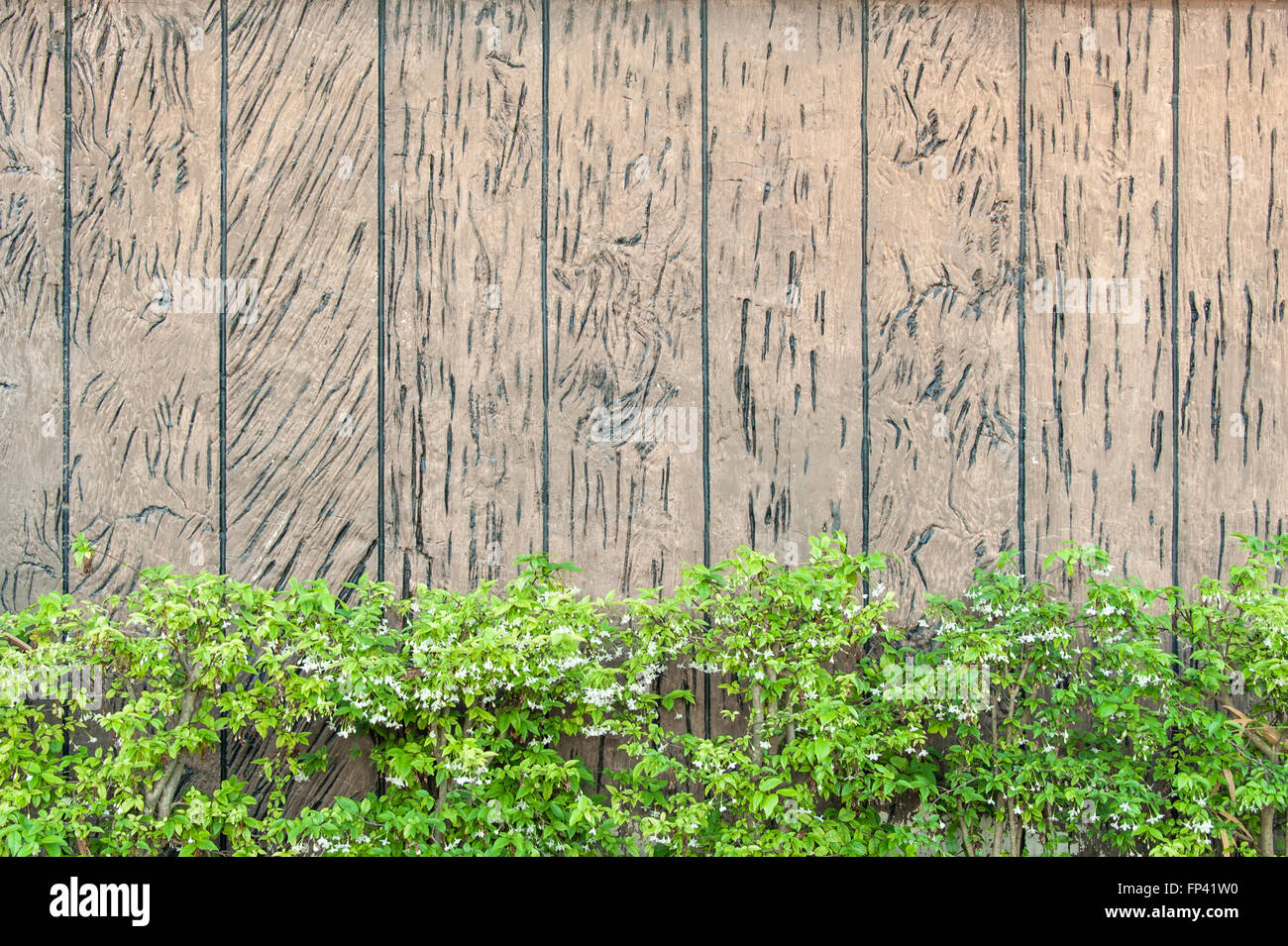 decorative stucco wood wall and green tree Stock Photo - Alamy