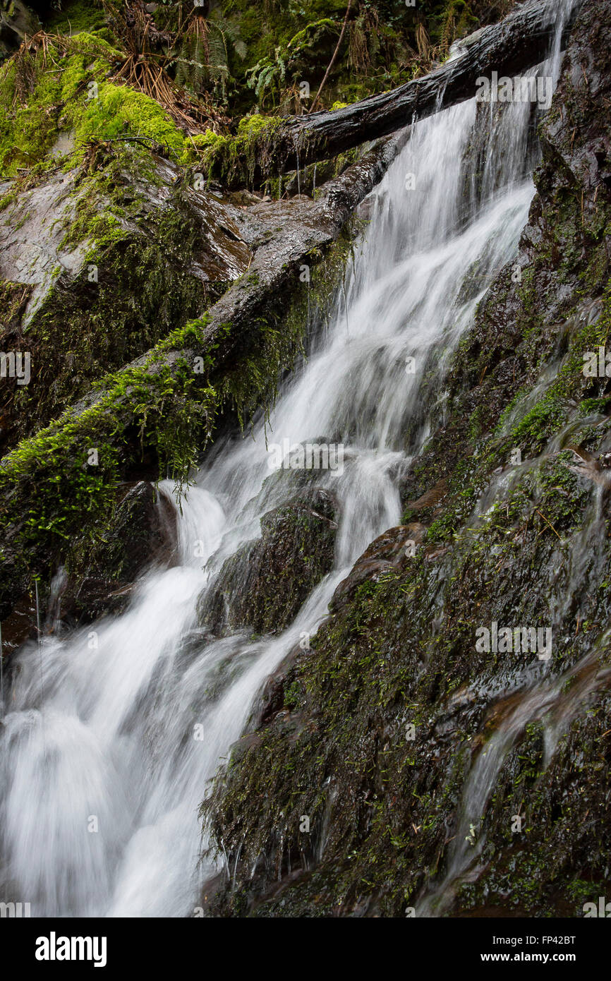 A small waterfall running down the hillside along the South West ...