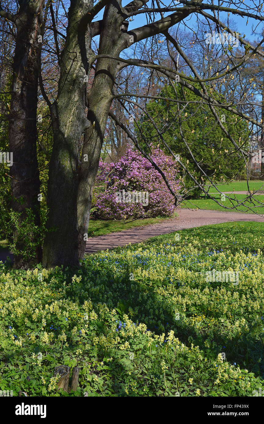 Spring landscape lush flowering hi-res stock photography and images - Alamy
