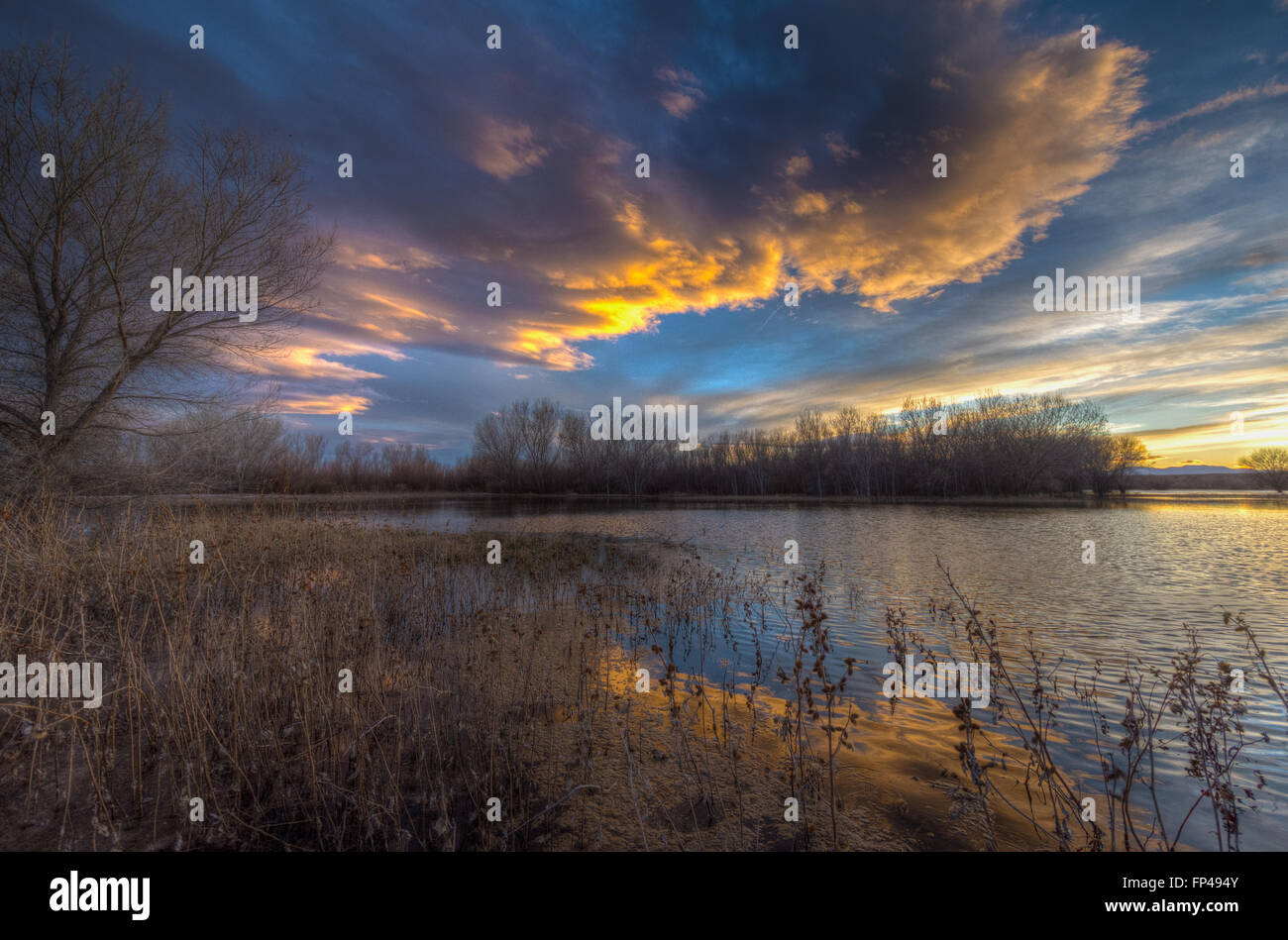 Brightly lit clouds after sunset over a marsh at Bosque del Apache ...