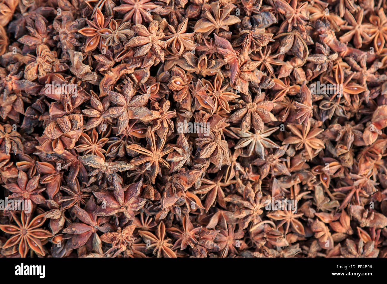 Star anise close up Stock Photo - Alamy