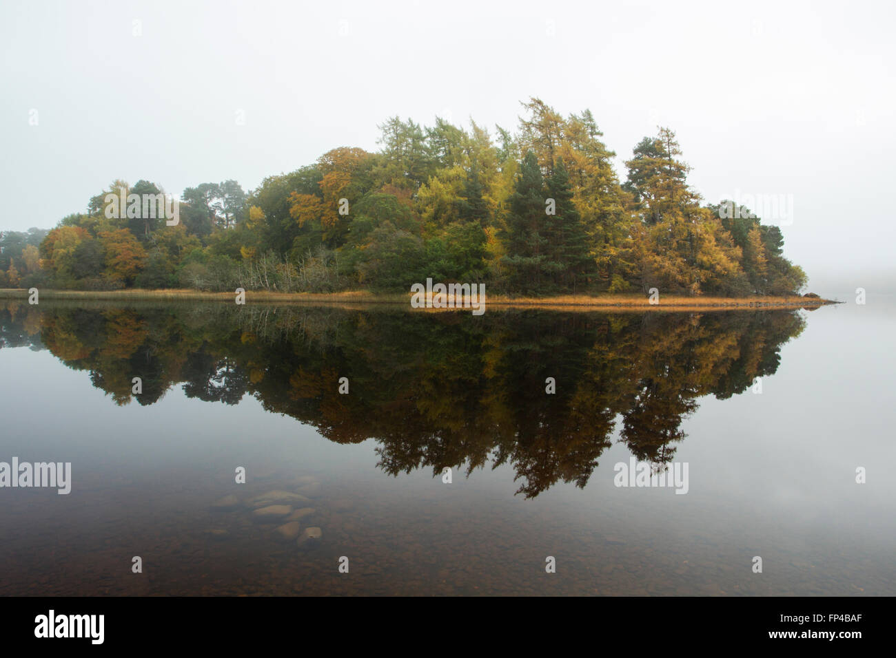 Misty day view of Tom Duhb island at Loch Insh in Caringorms National ...
