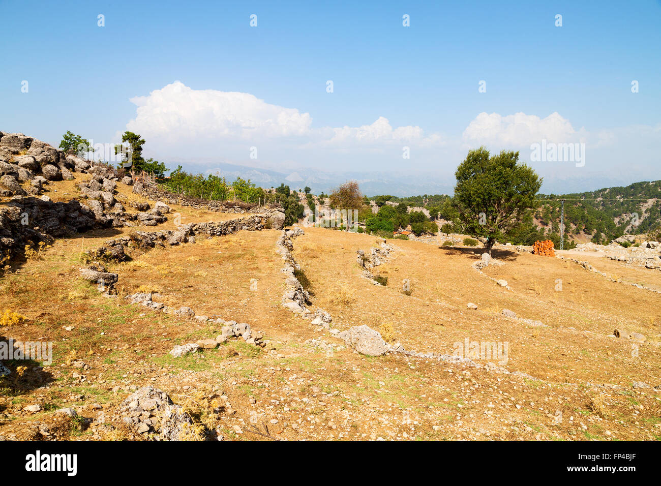 the hill in asia turkey selge old architecture ruins and nature Stock ...