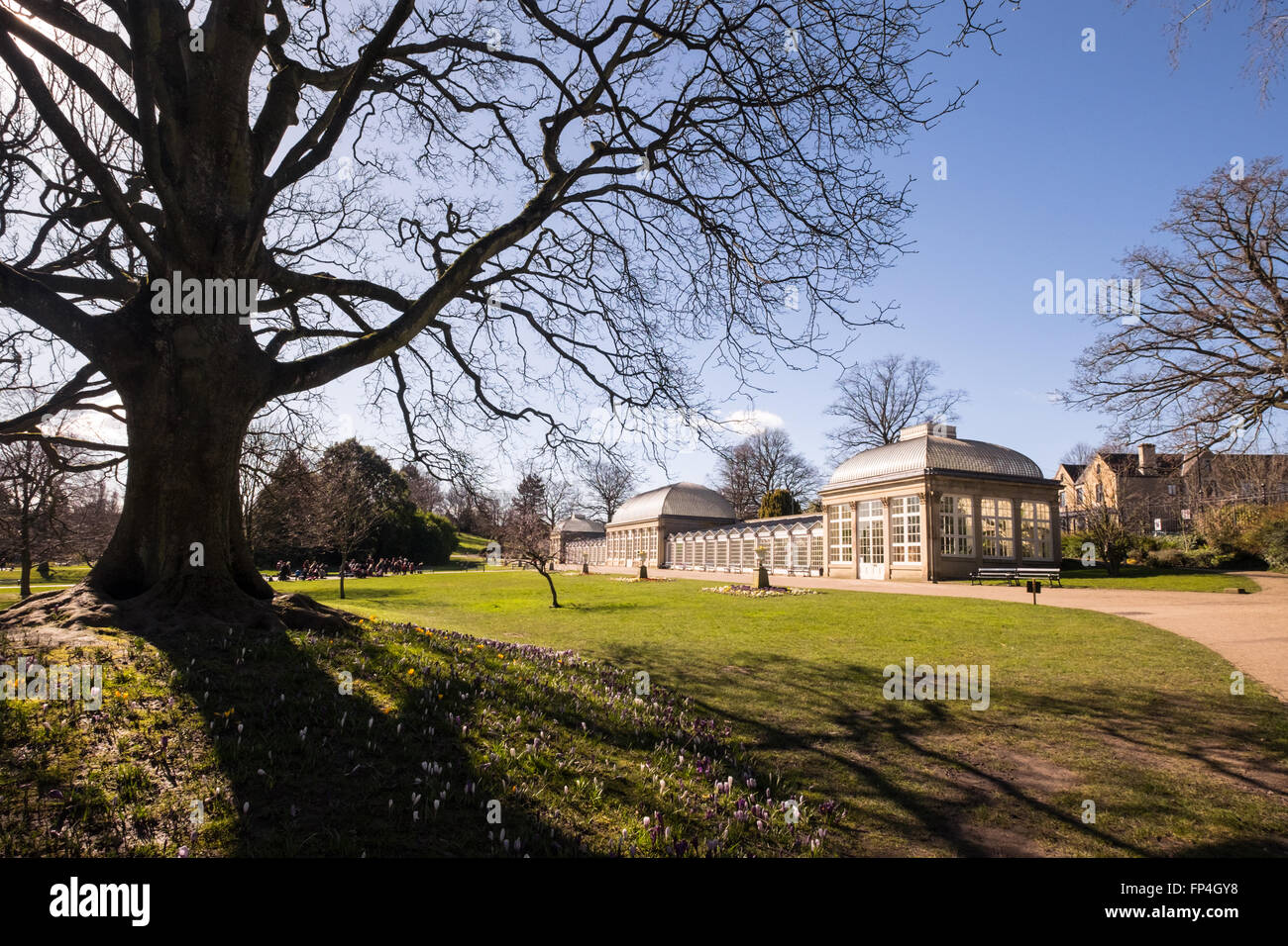 Victorian winter gardens hi-res stock photography and images - Alamy