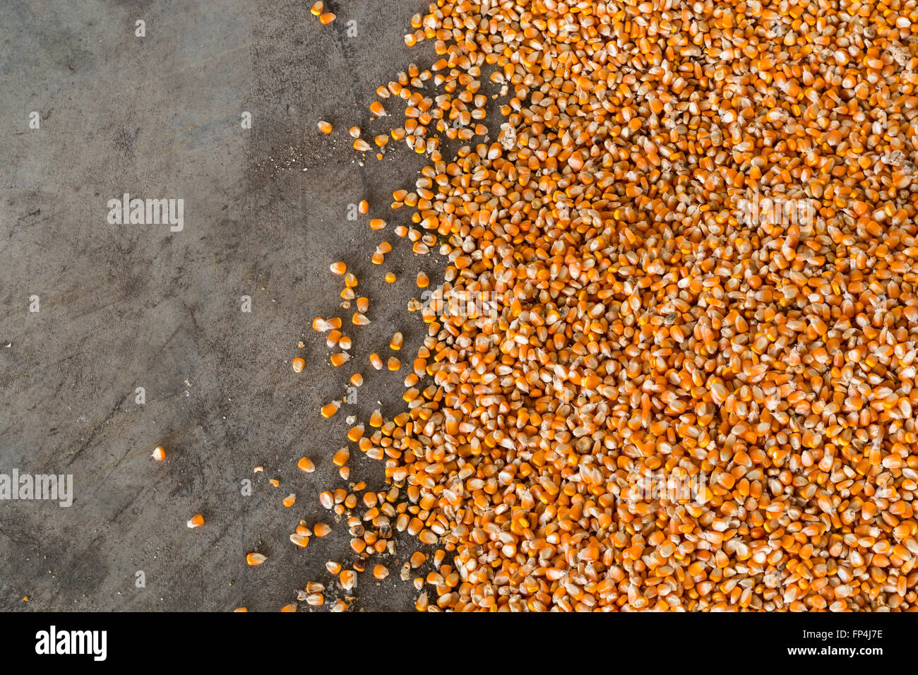 Corn after the milling on the cement floor Stock Photo - Alamy