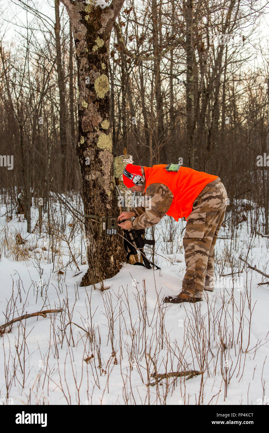 Wisconsin hunter checking trail camera Stock Photo - Alamy
