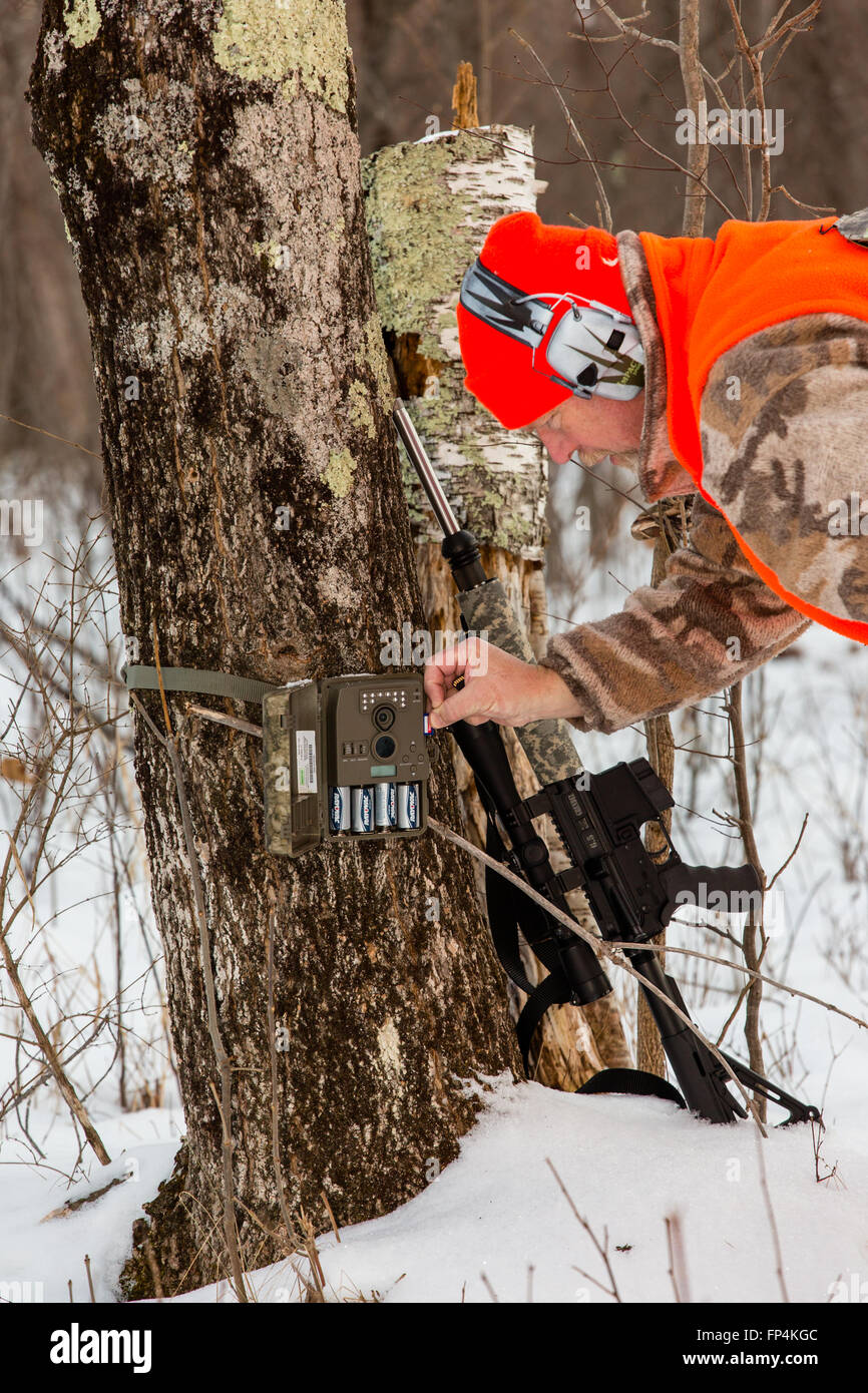 Wisconsin hunter checking trail camera Stock Photo - Alamy