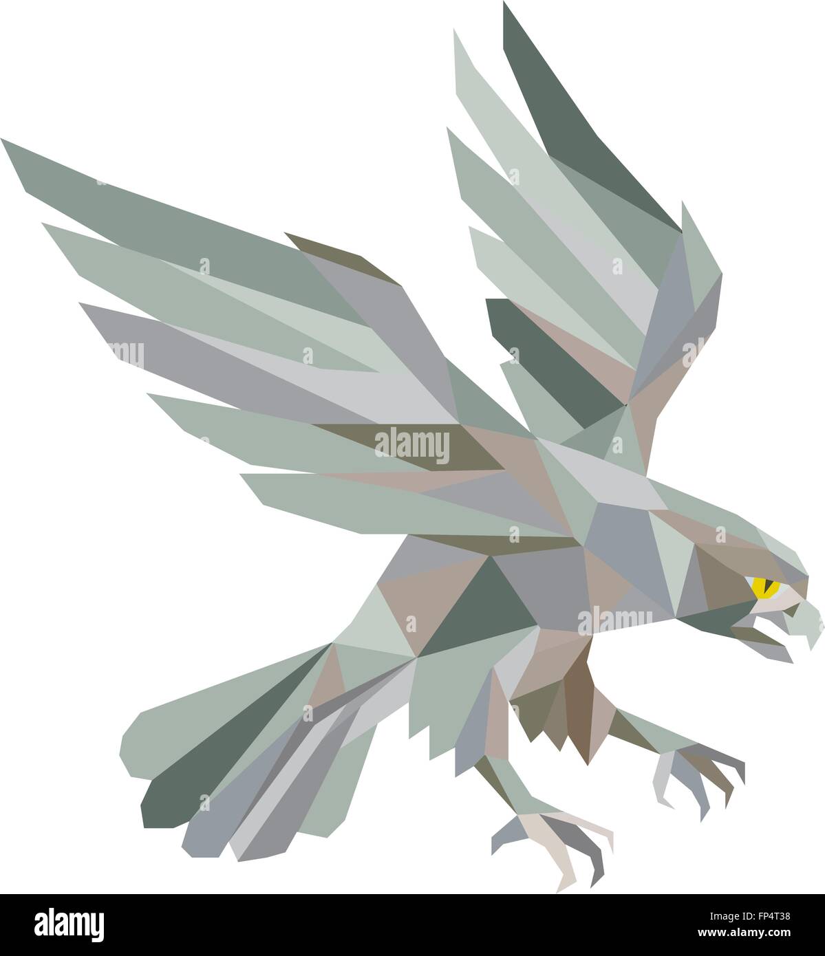 Low polygon style illustration in grey of a peregrine falcon hawk eagle ...