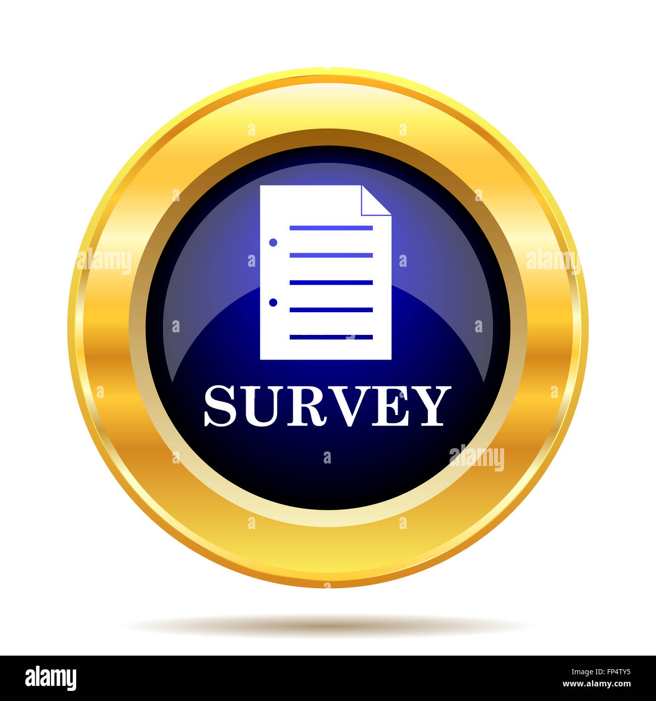 Survey icon. Internet button on white background Stock Photo - Alamy