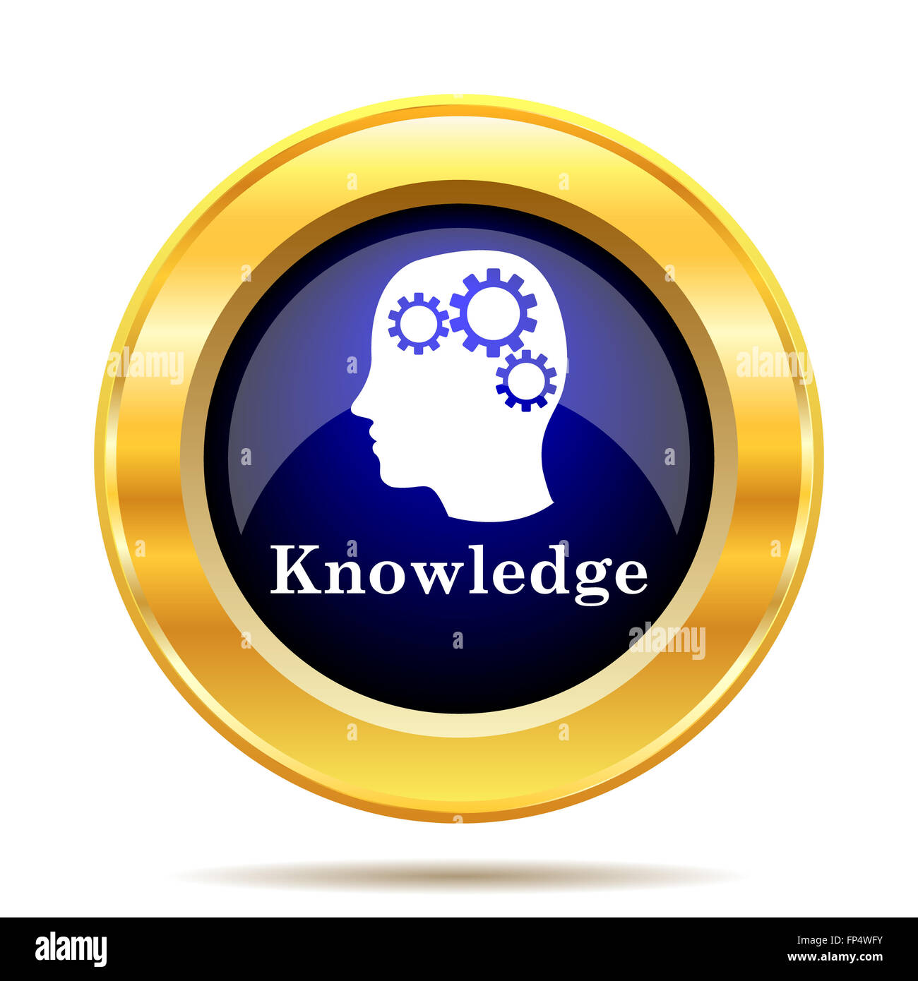 Knowledge icon. Internet button on white background Stock Photo - Alamy