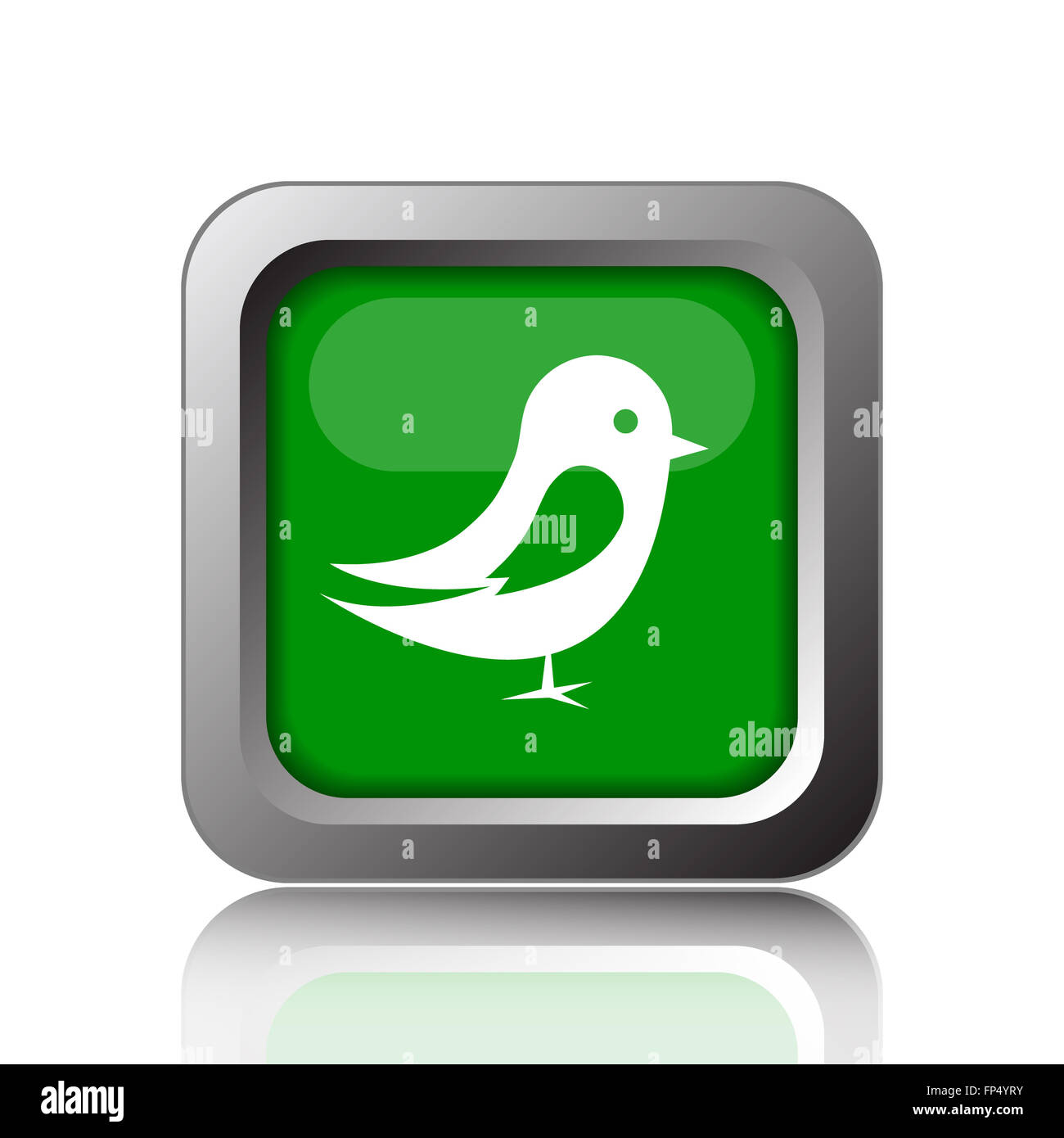 Bird icon. Internet button on black background Stock Photo - Alamy