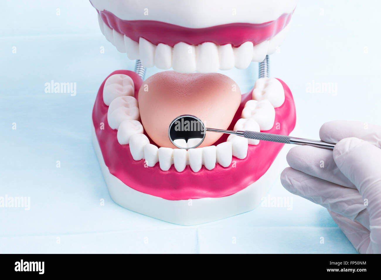 Image shows a dental jaw model with hand and tools Stock Photo - Alamy