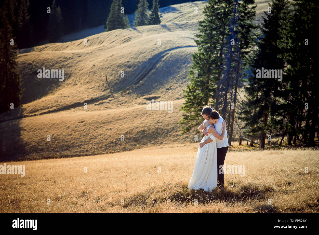 Beautiful wedding couple softly hugs. Amazing mountain landscape on ...