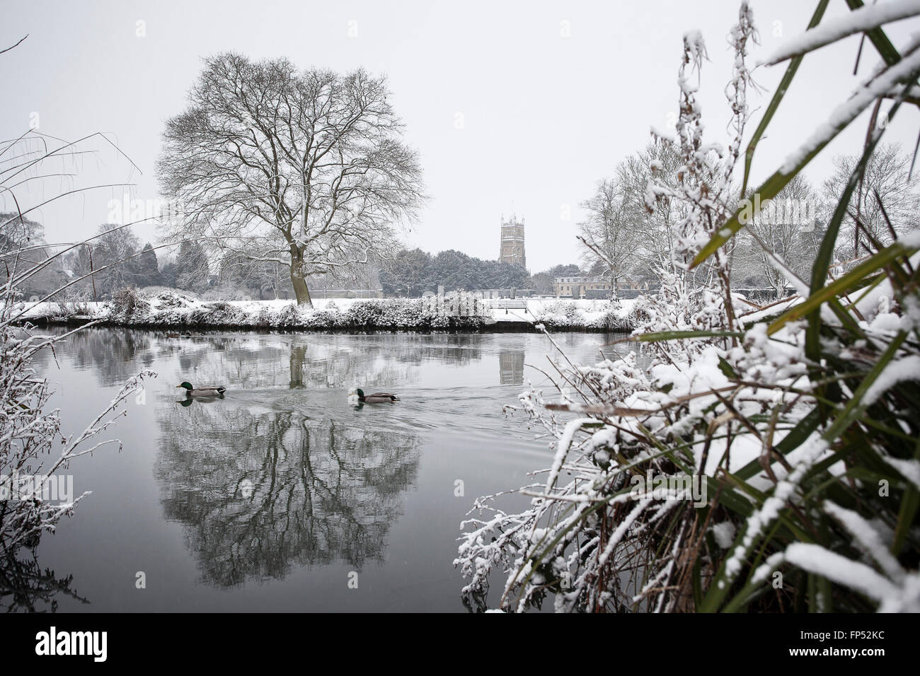 Cirencester abbey grounds hi-res stock photography and images - Alamy
