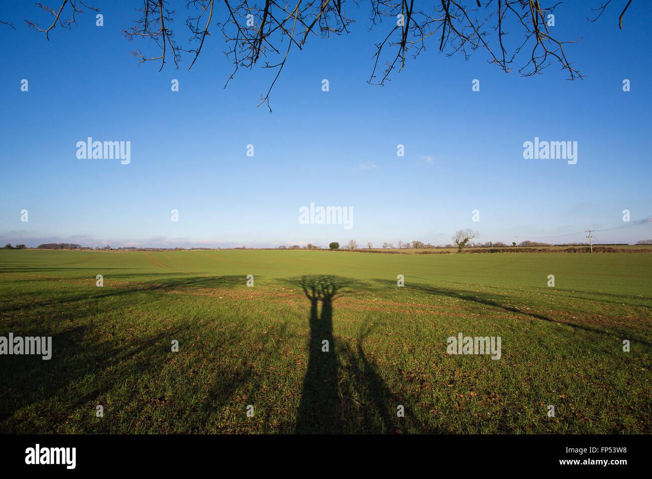 A tree shadow cast over a green field on a bright winters day in the ...