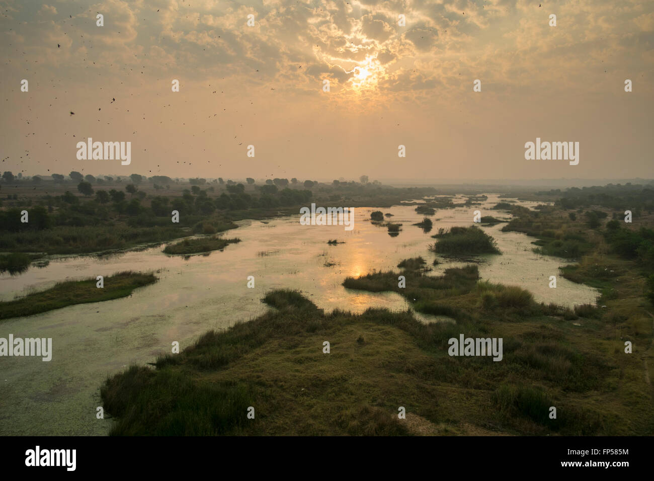 The beautiful Banas river flows as the sun rises and swifts fly in the ...