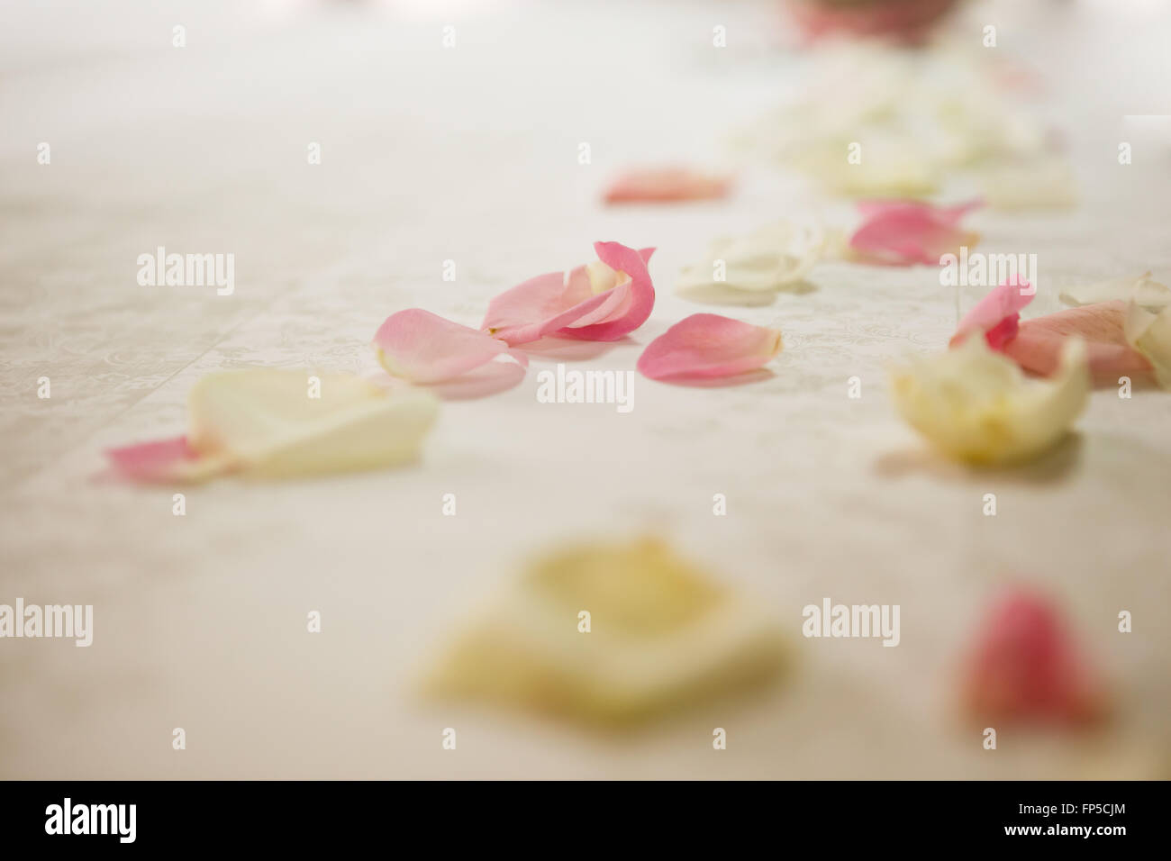 sweet color rose petals for romantic background Stock Photo - Alamy