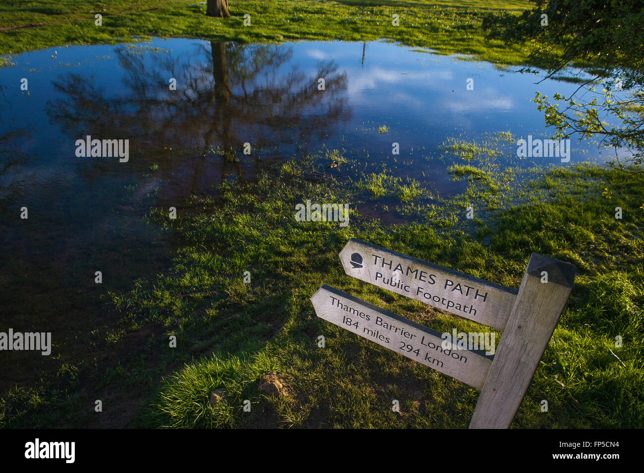 The source of the River Thames, in a field near the cotswold town of ...