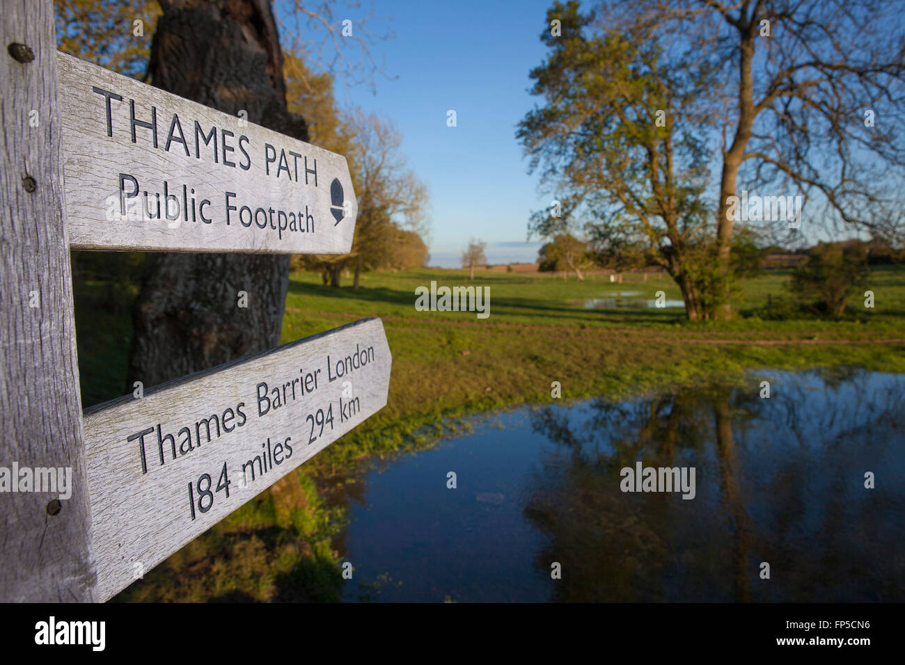 The source of the River Thames, in a field near the cotswold town of ...