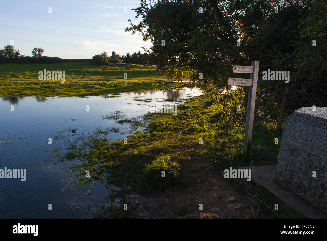 Thames head cotswold hi-res stock photography and images - Alamy