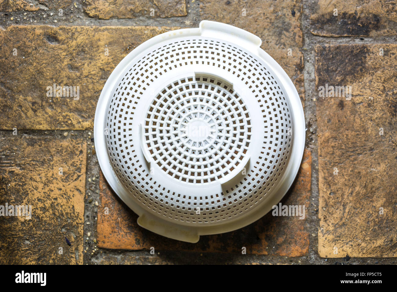 aerial view of a white plastic colander Stock Photo - Alamy