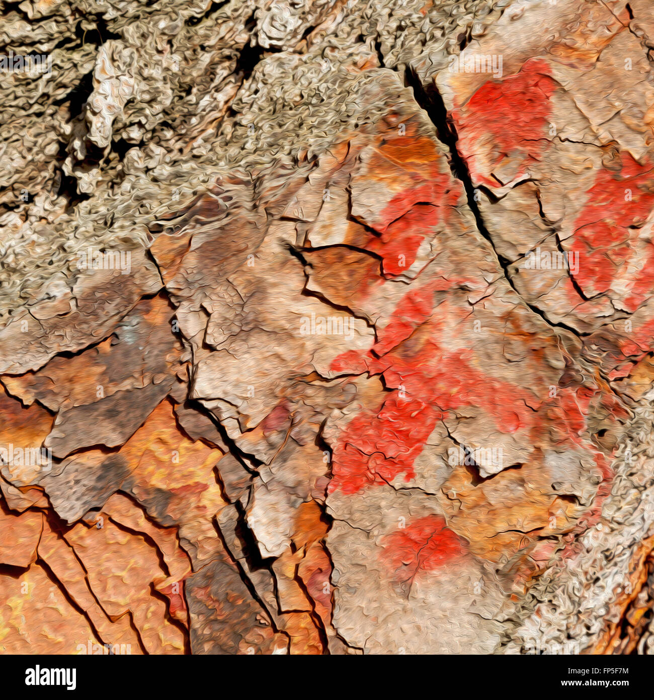 barck in the abstract close up of a tree color and texture Stock Photo ...