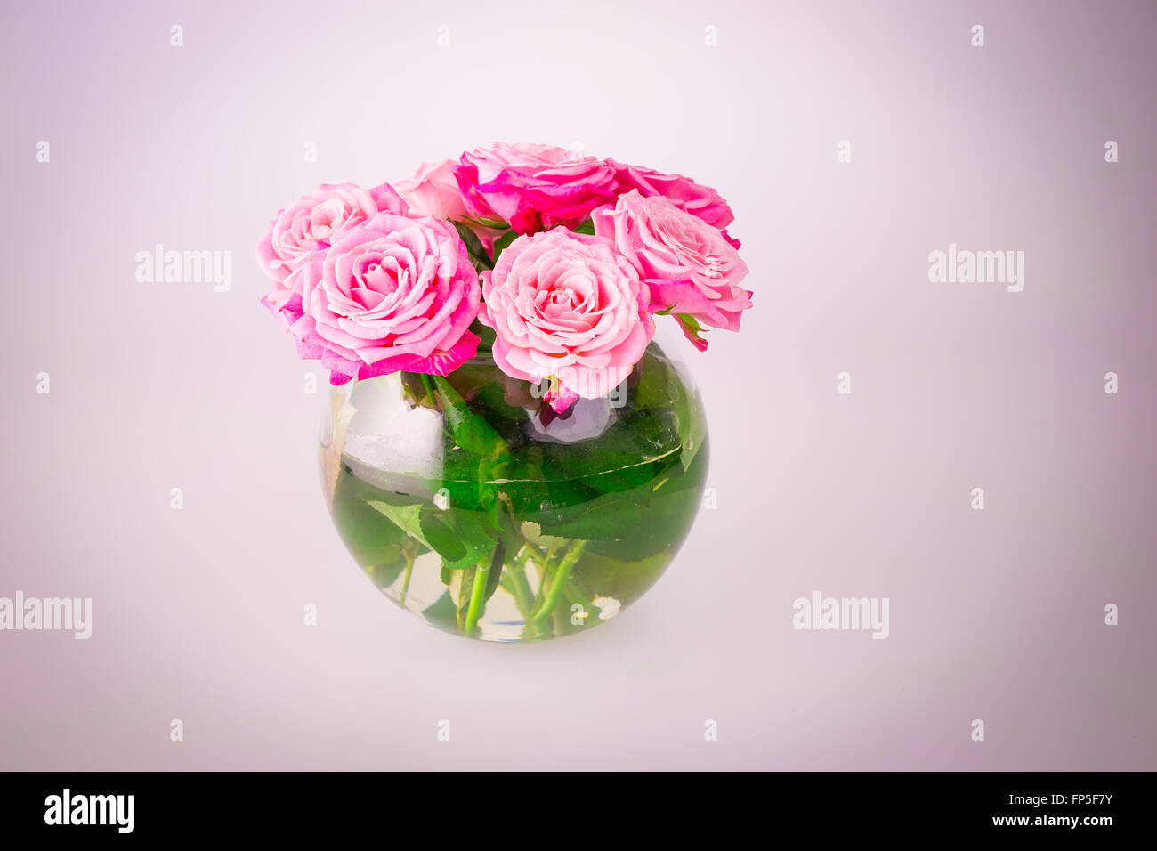 The beautiful pink rose flowers in a vase Stock Photo - Alamy