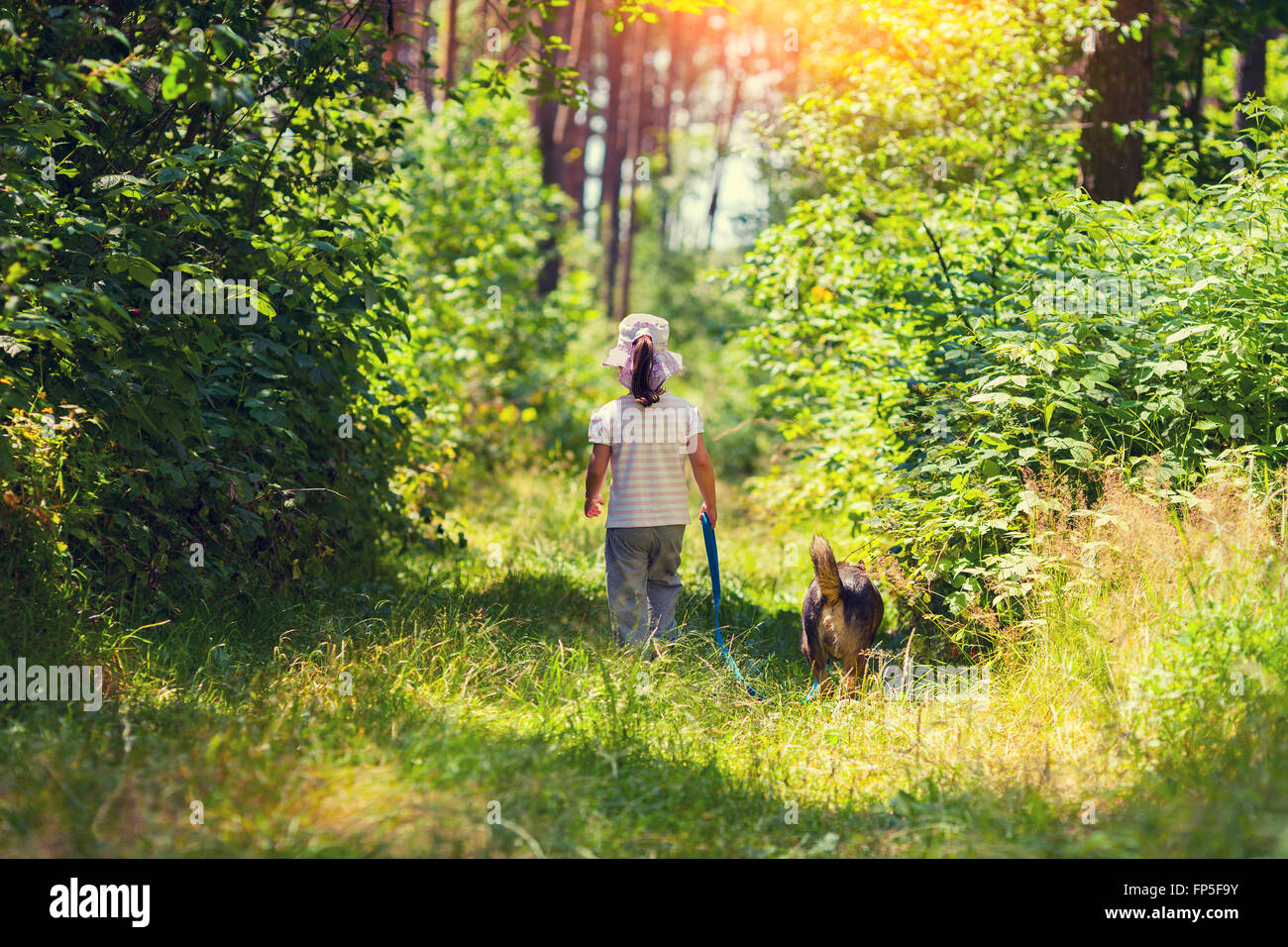 Little girl walking with dog in the forest back to camera Stock Photo ...