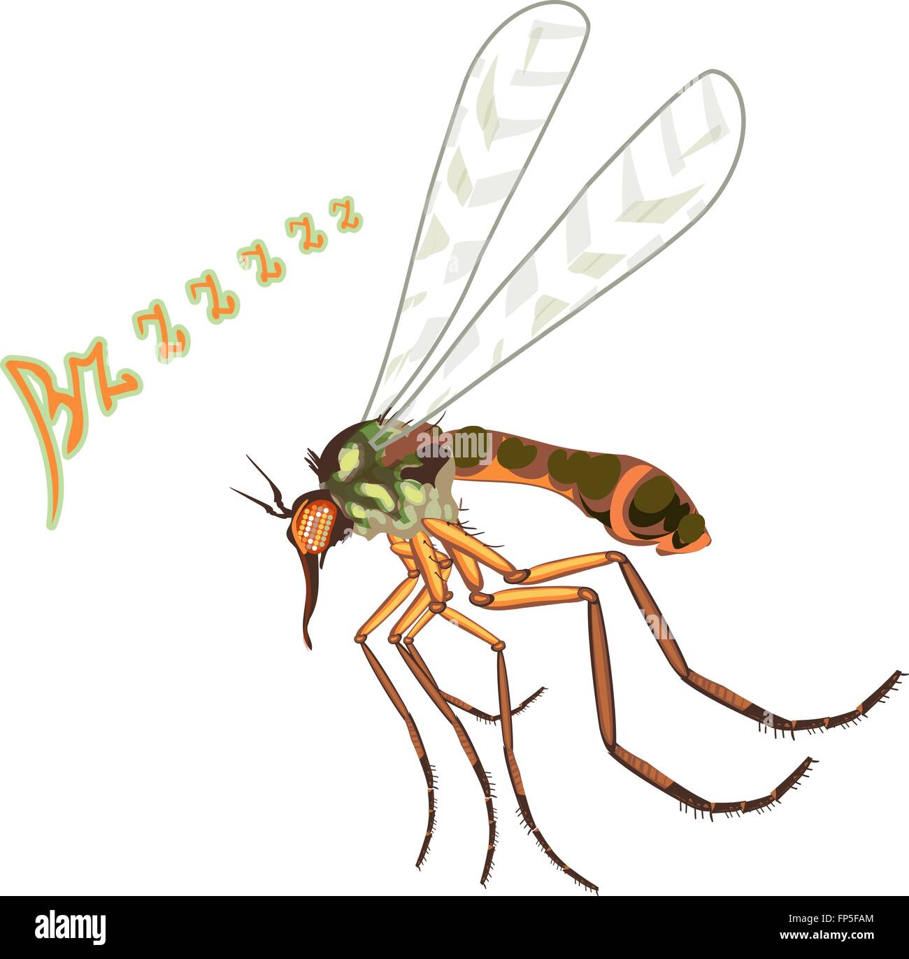 The mosquito flies suck blood Stock Vector Image & Art - Alamy