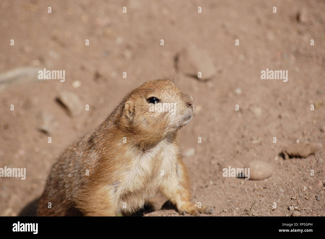 Attack mode hi-res stock photography and images - Alamy