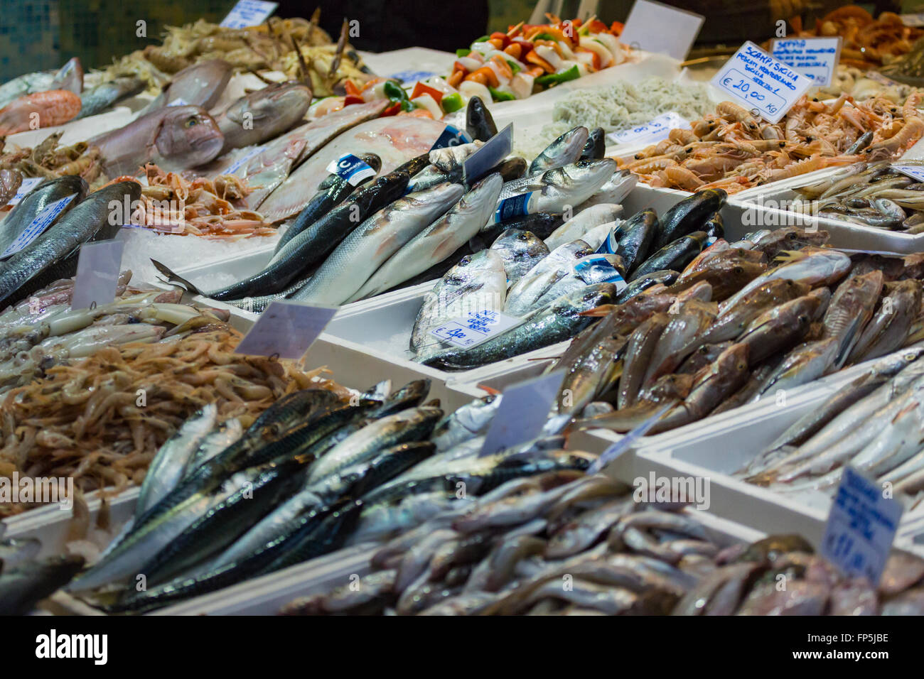 Bologna fresh fish market, Italy Stock Photo - Alamy