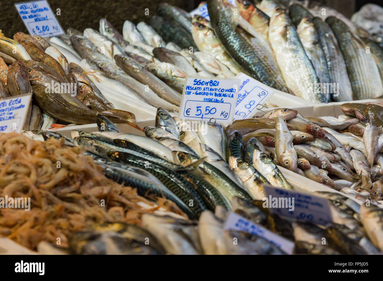 Bologna fresh fish market, Italy Stock Photo - Alamy