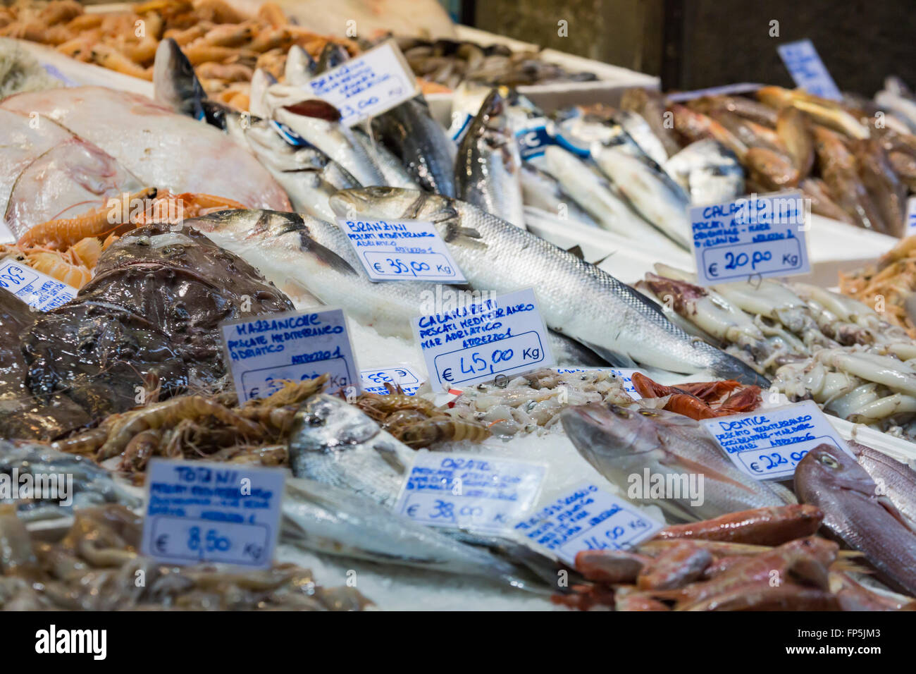 Bologna fresh fish market, Italy Stock Photo - Alamy