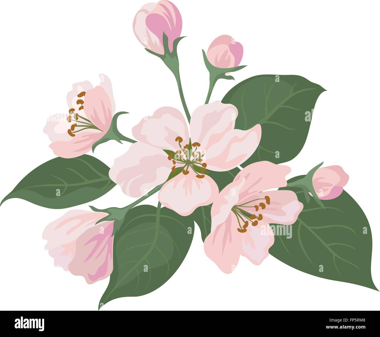 Fruit orchard flower Stock Vector Images - Alamy