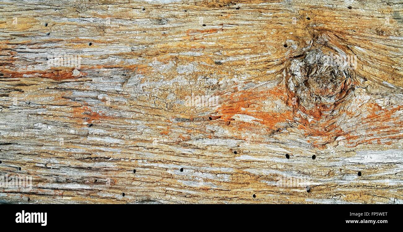 Close up of wood texture background Stock Photo - Alamy