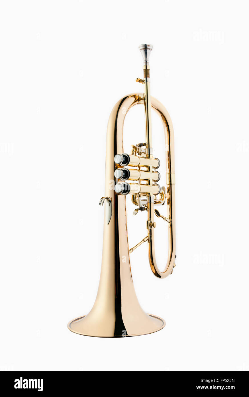 Trumpet isolated on a white background Stock Photo - Alamy
