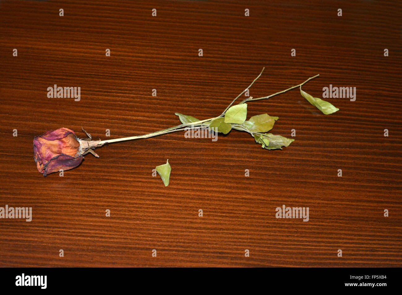 Dead Dry Rose on wood background Stock Photo - Alamy