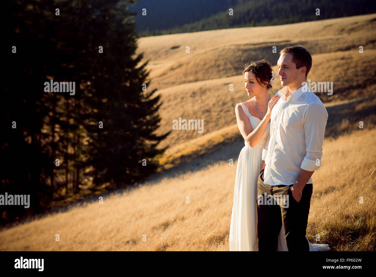 Happy young wedding couple enjoys the mountain landscape Stock Photo ...