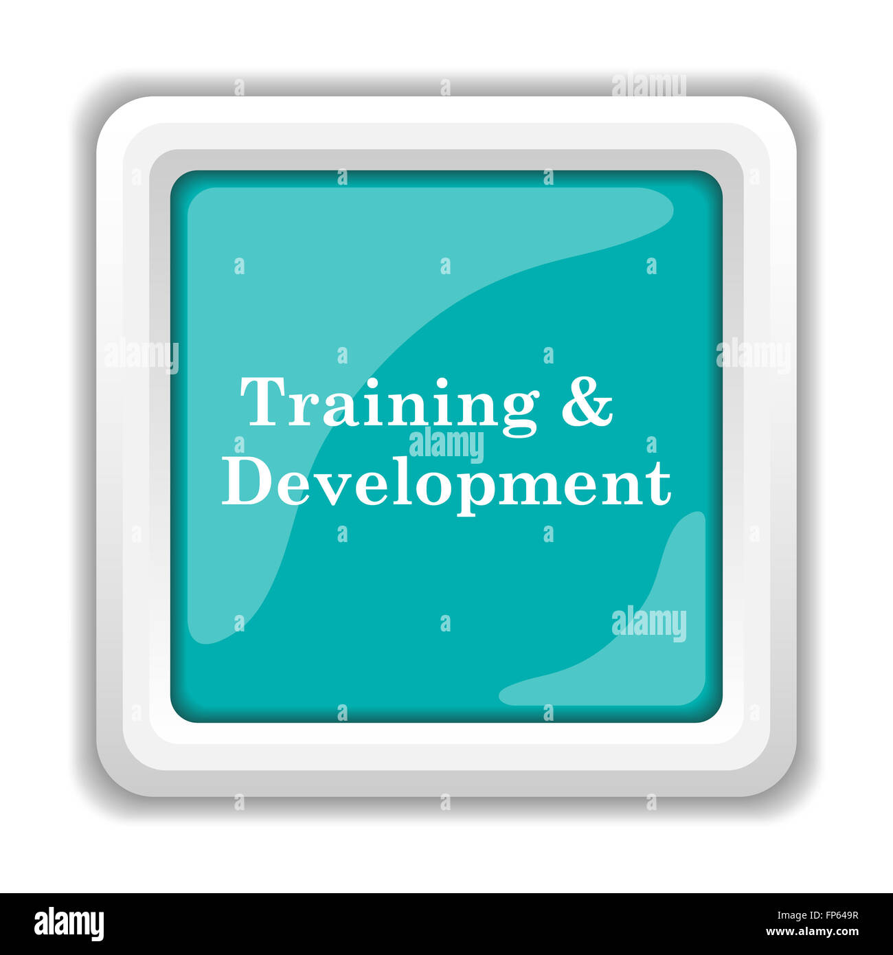 Training and development icon. Internet button on white background ...