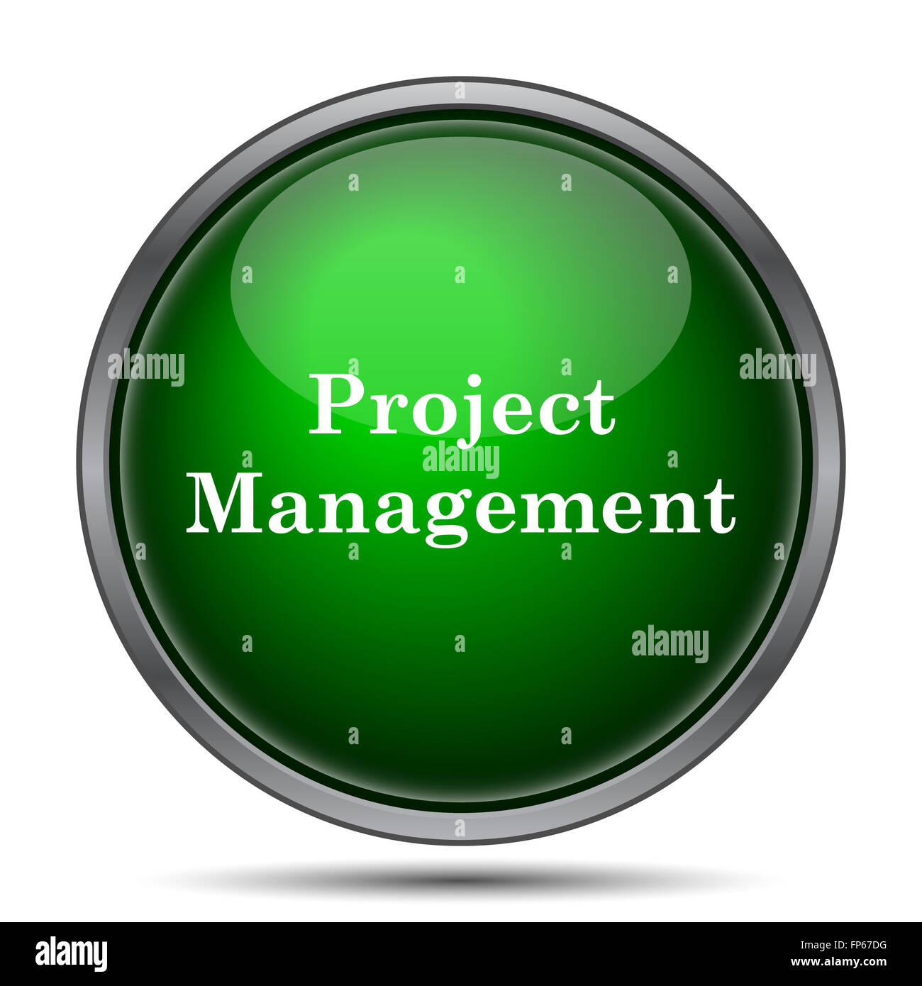 Project management icon. Internet button on white background Stock ...