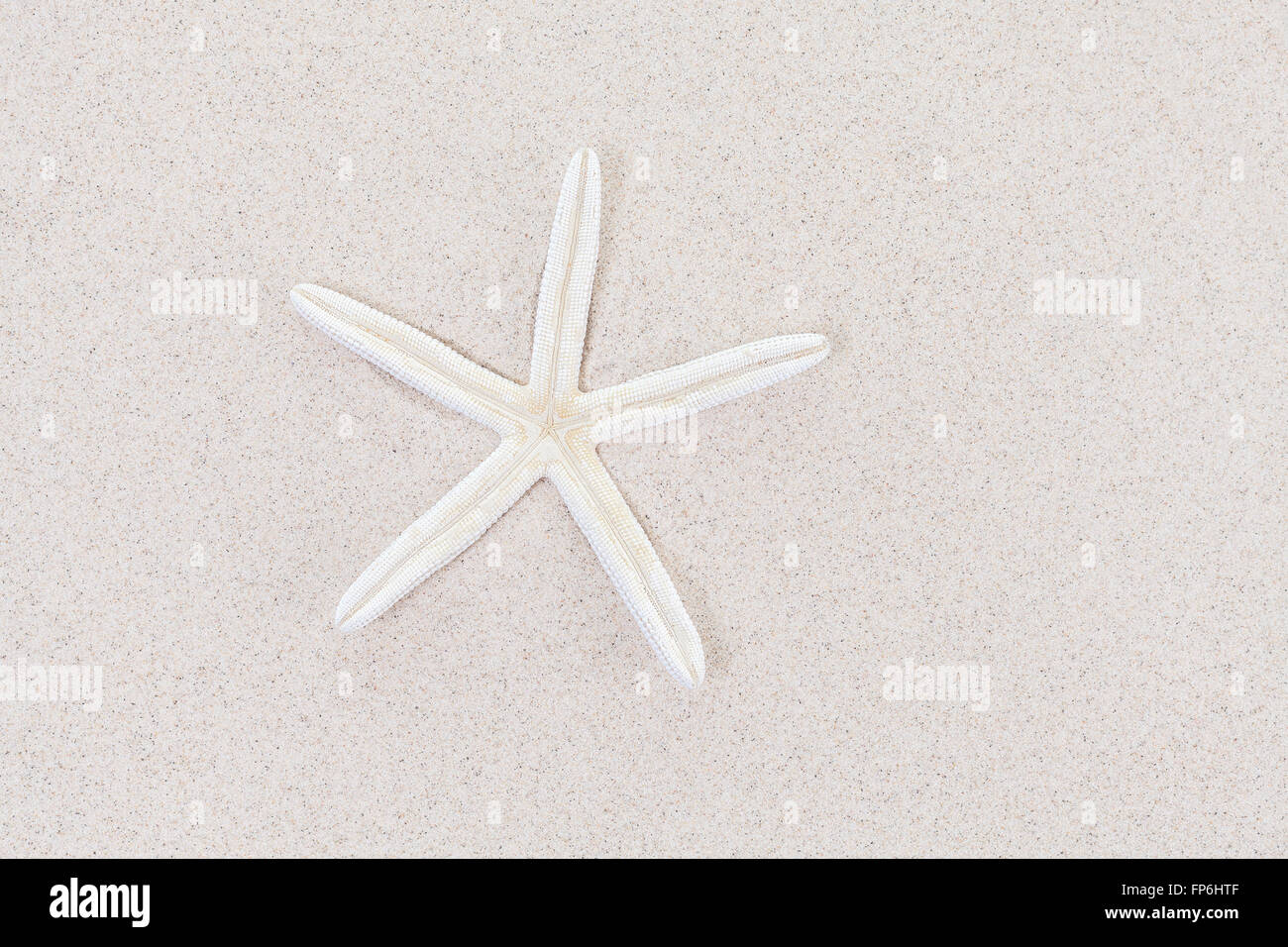 Starfish beach hi-res stock photography and images - Alamy