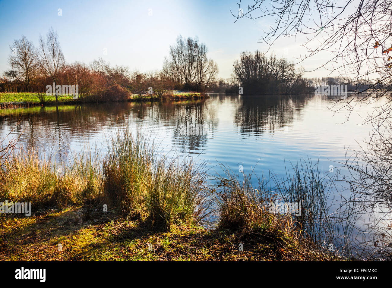 A winter morning on one of the lakes at Cotswold Water Park Stock Photo ...