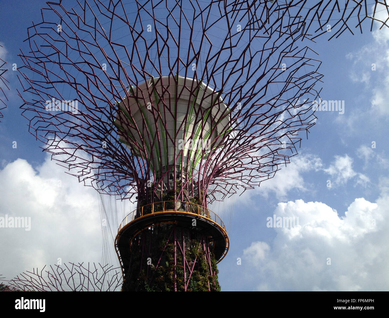 Supertree Grove in Singapore Stock Photo - Alamy