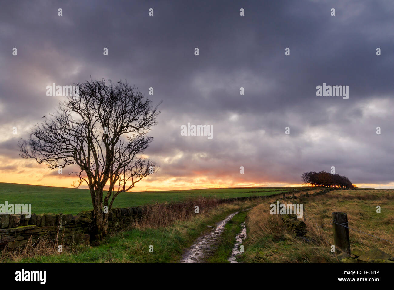 Beautiful country lane england hi-res stock photography and images - Alamy