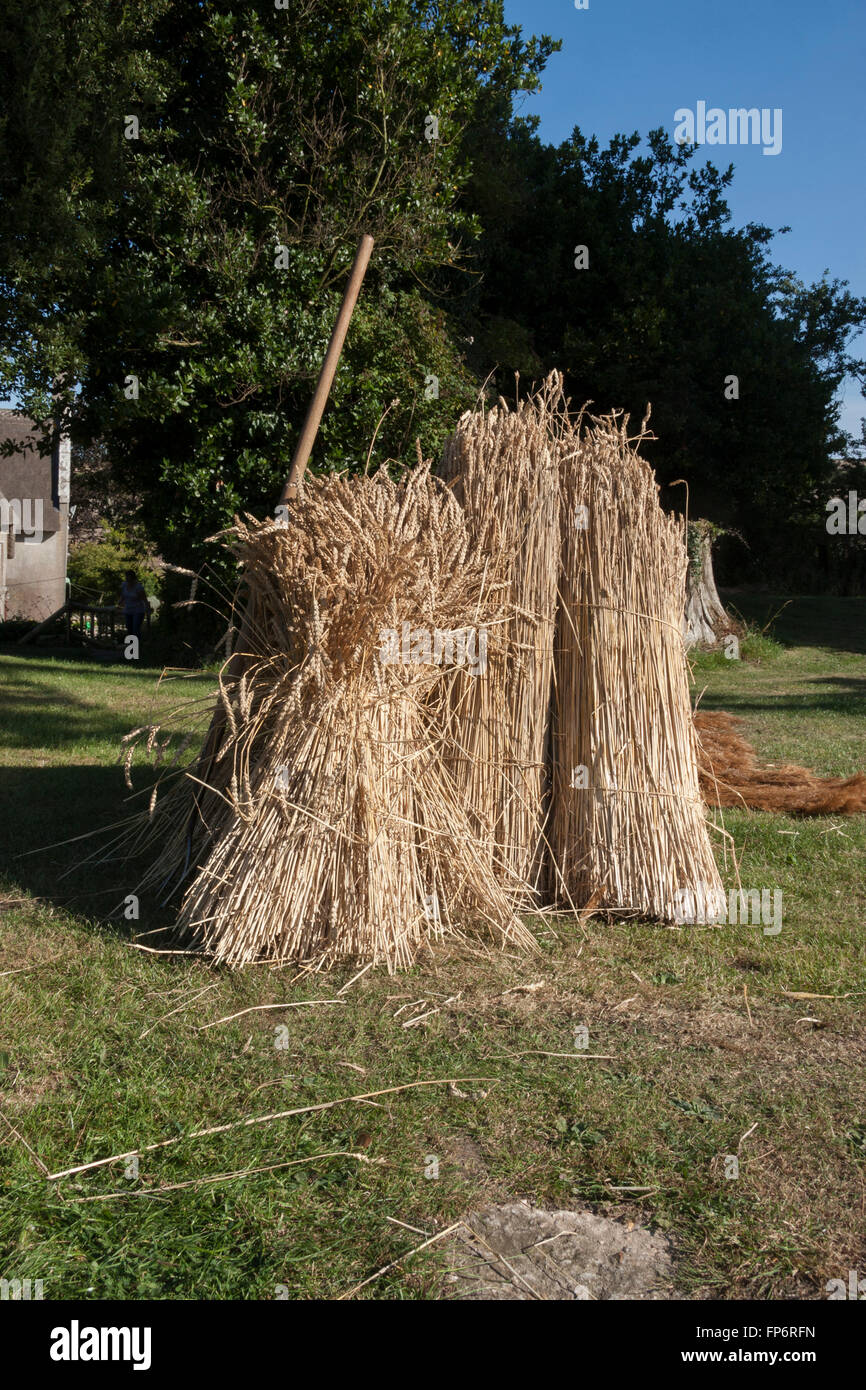 Sheaves Of Wheat Stock Photos & Sheaves Of Wheat Stock Images - Alamy