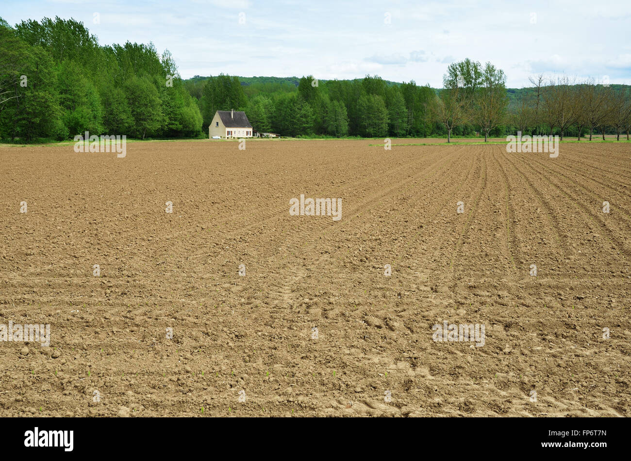 Land tillage hi-res stock photography and images - Alamy