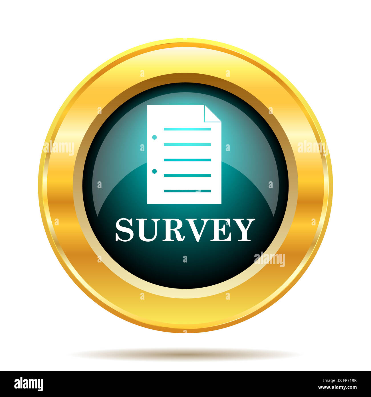 Survey icon. Internet button on white background Stock Photo - Alamy