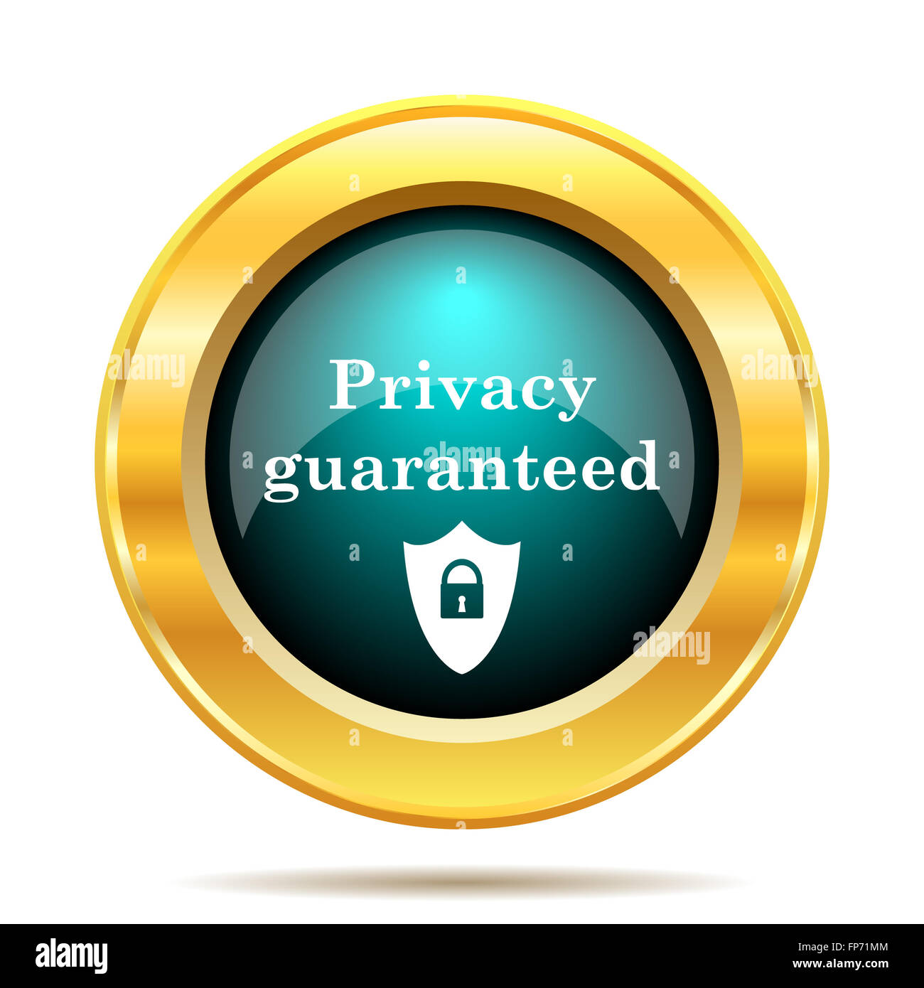 Privacy guaranteed icon. Internet button on white background Stock ...