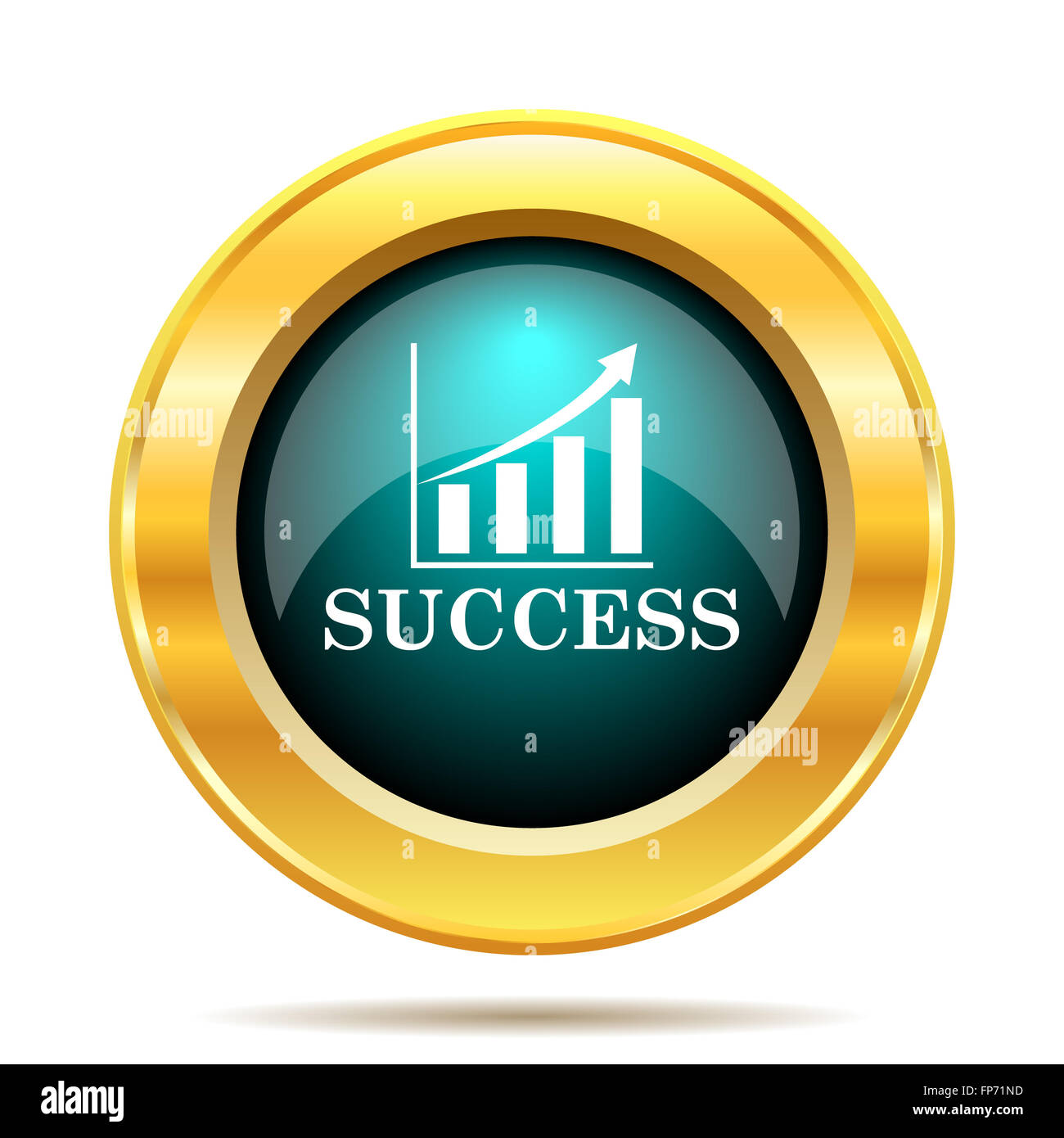 Success icon. Internet button on white background Stock Photo - Alamy