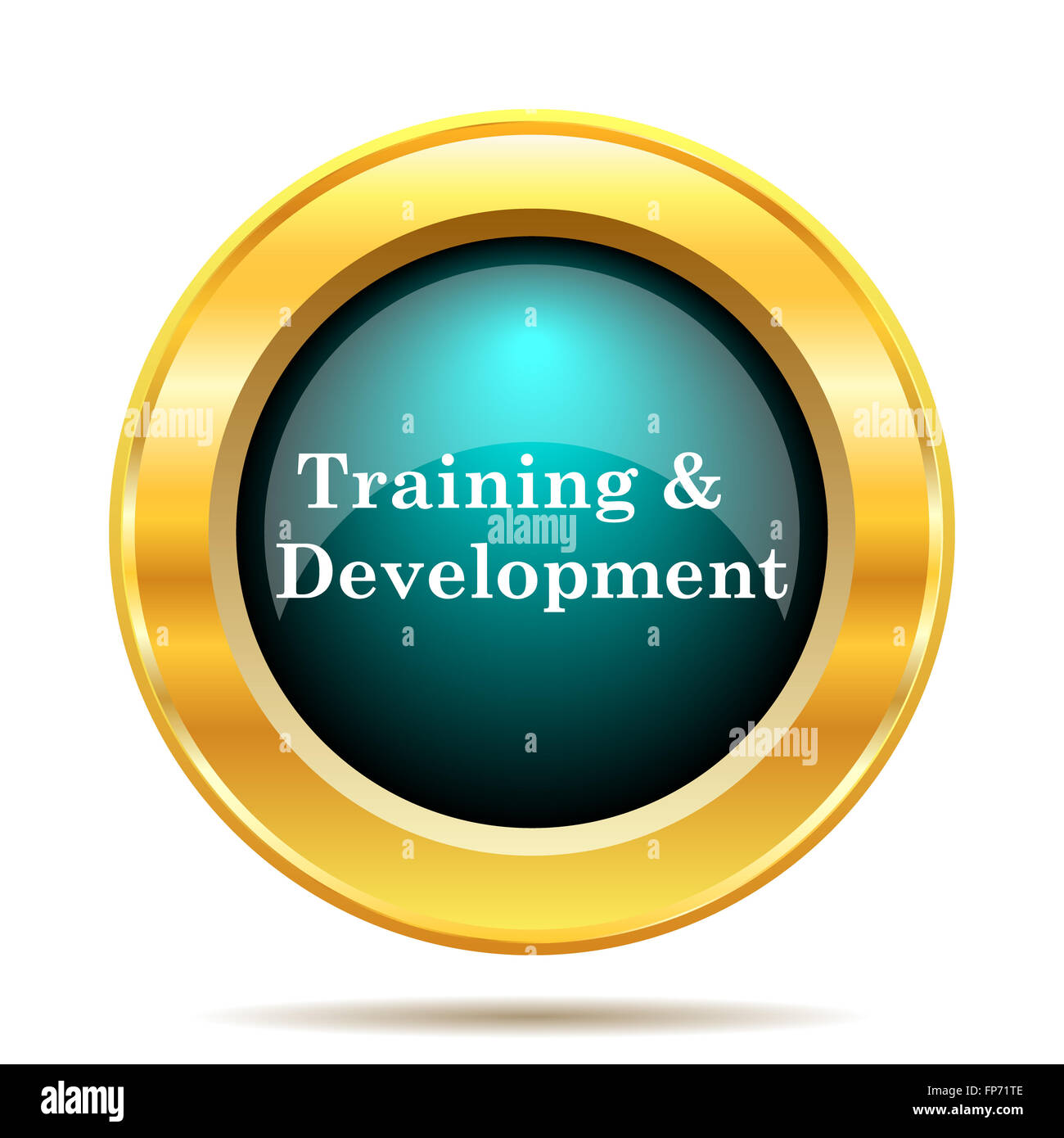 Training and development icon. Internet button on white background ...